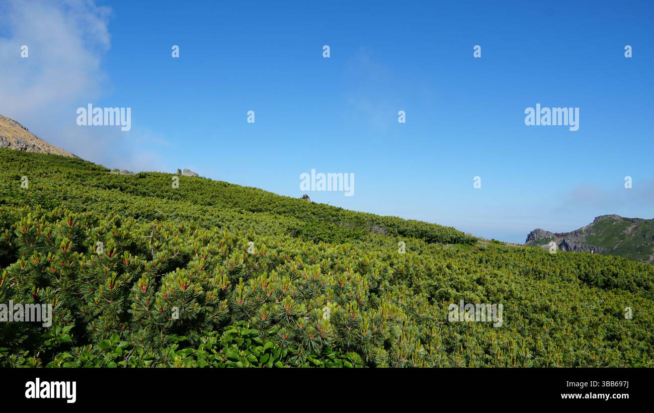 Summer Hiking and Scenic Views at Mount Ontake, Japan’s Second Highest ...