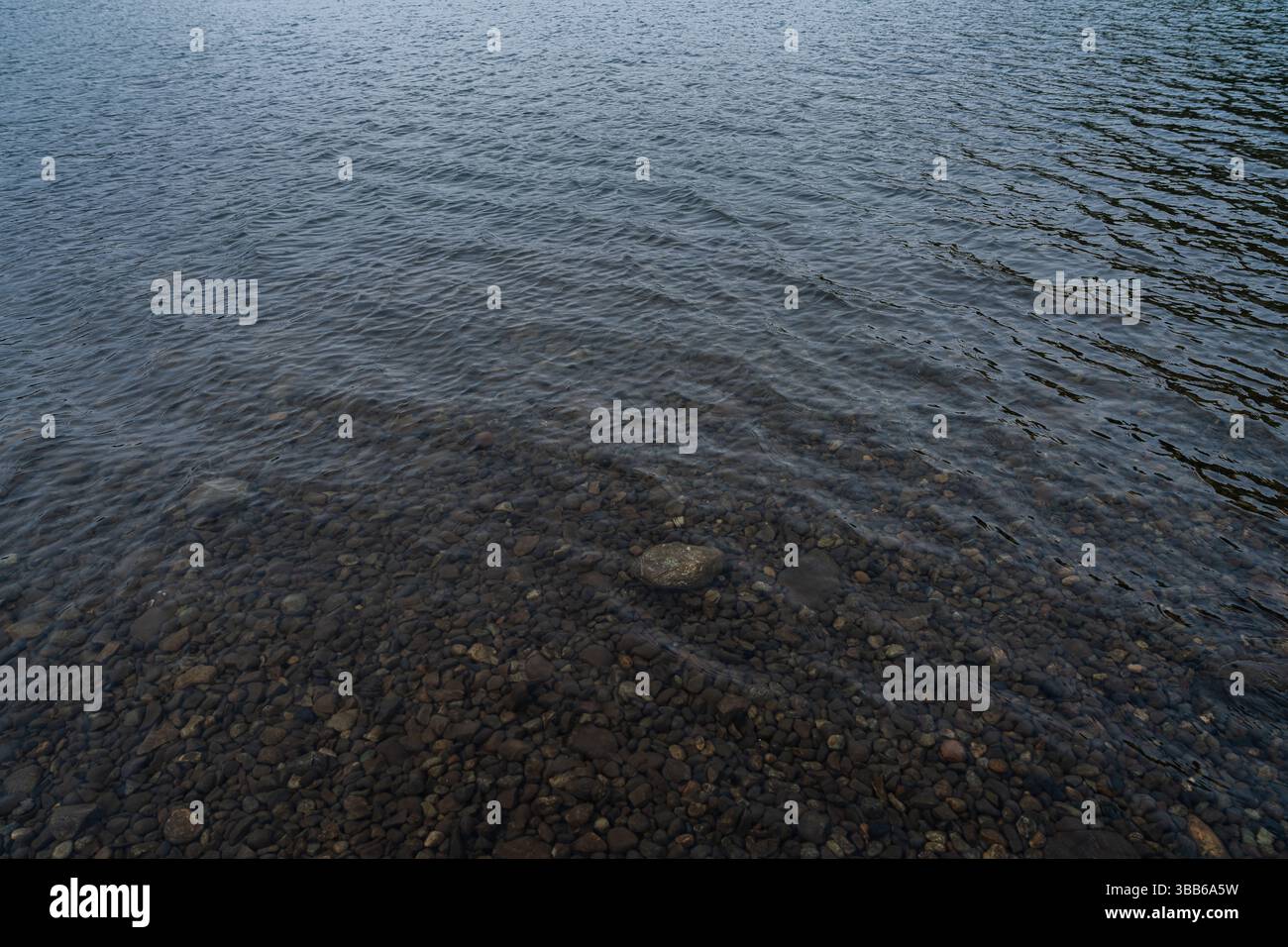 A tranquil scene of gentle ripples gliding over a rocky lakebed in ...