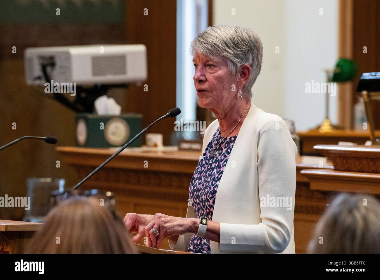 Colorado Rep. Lesley Smith, D-Boulder, speaks at the state Capitol on ...