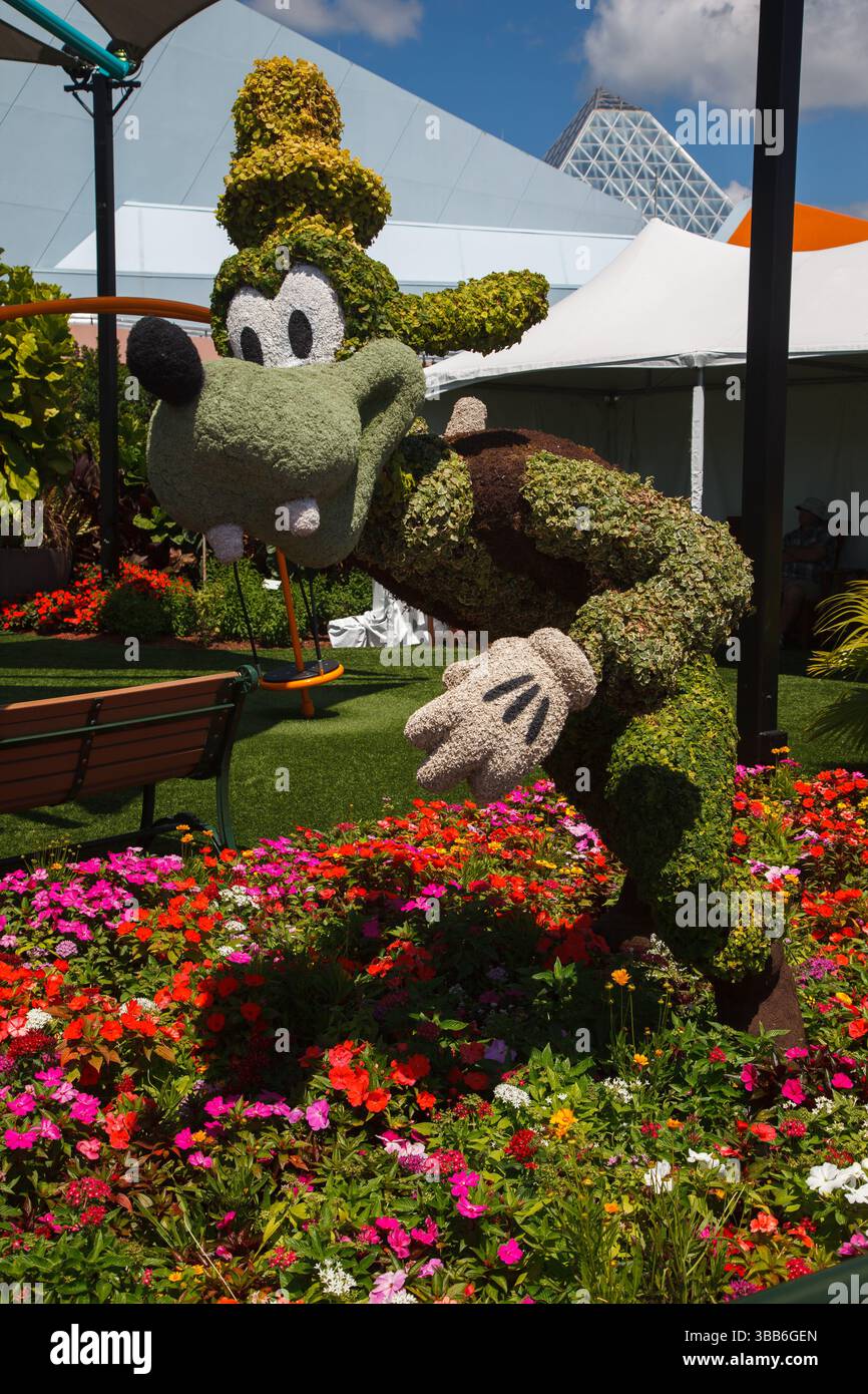 The Goofy cartoon character, flower and garden topiary festival, Epcot ...