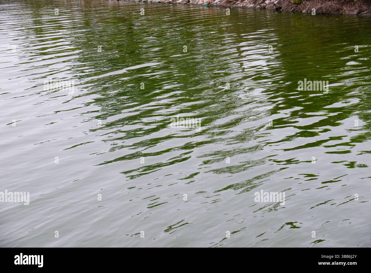 lake water background Stock Photo - Alamy