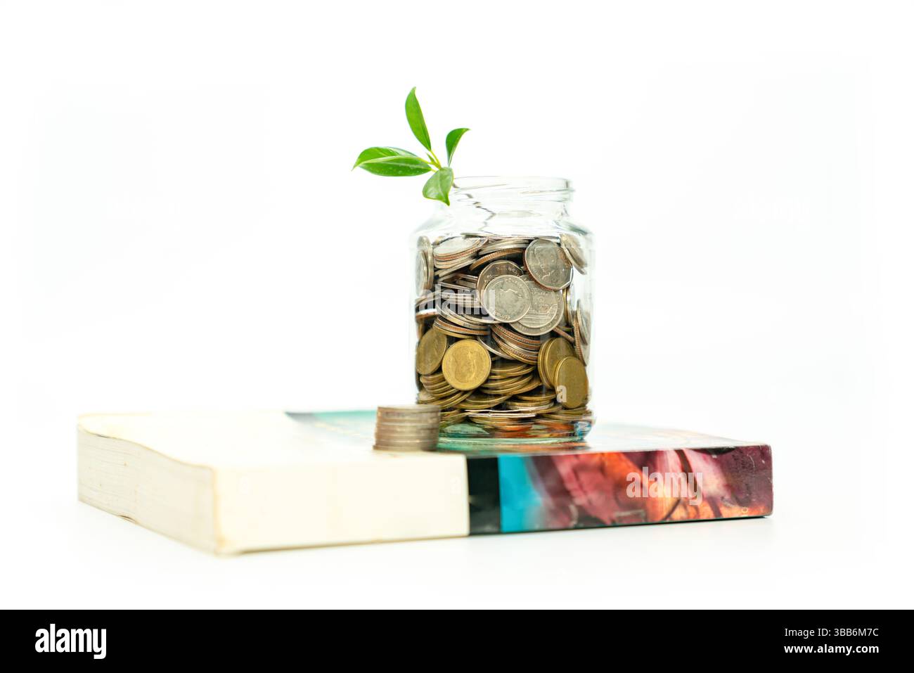 Growing hobby Cut Out Stock Images & Pictures - Alamy