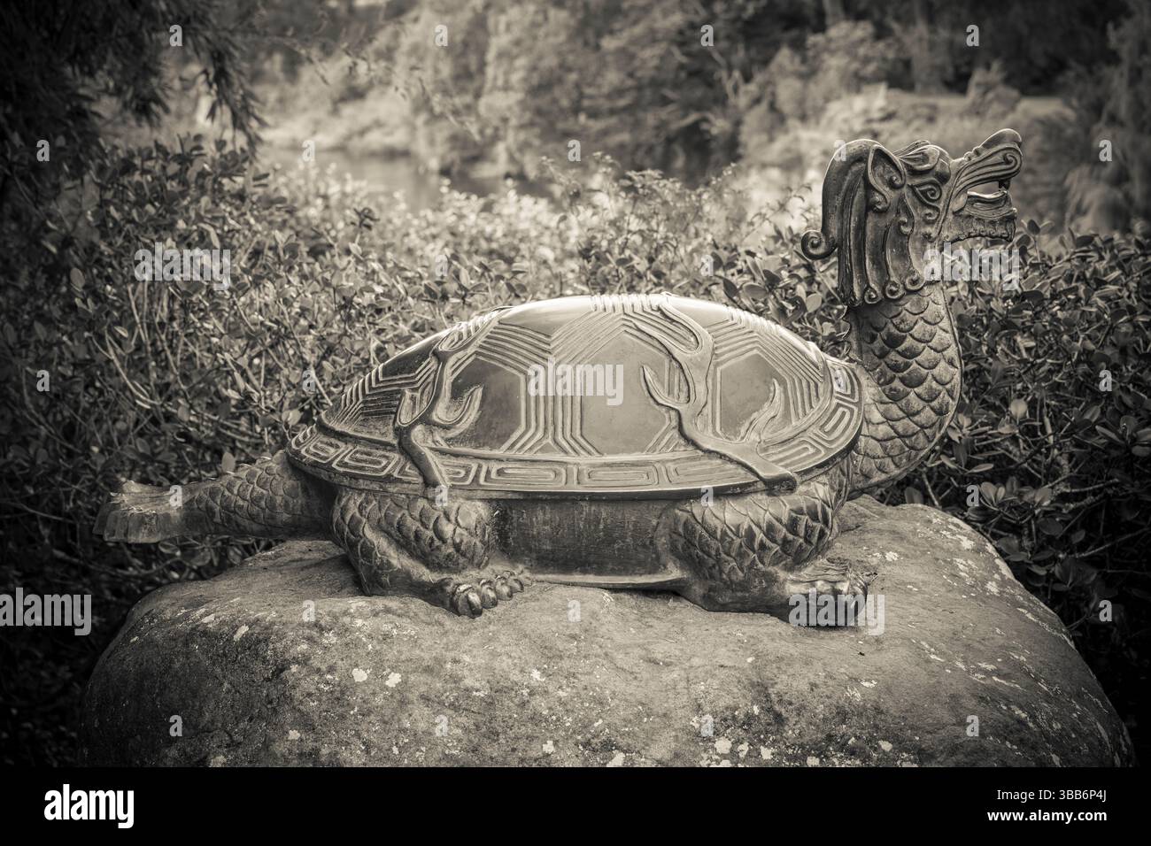 Turtle statue in the Chinese Scholars' Garden, Hamilton Gardens ...