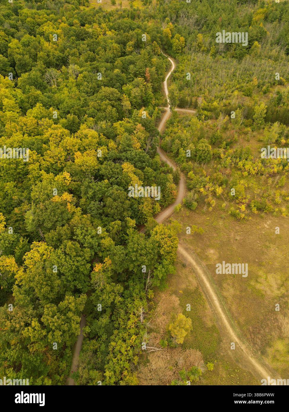 Aerial Views of Bronte Park: Trails, Forest & Scenic Surroundings Stock ...