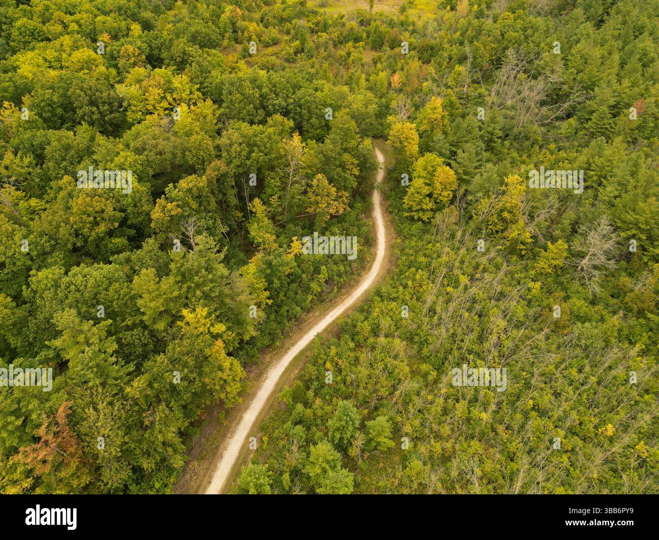 Aerial Views of Bronte Park: Trails, Forest & Scenic Surroundings Stock ...