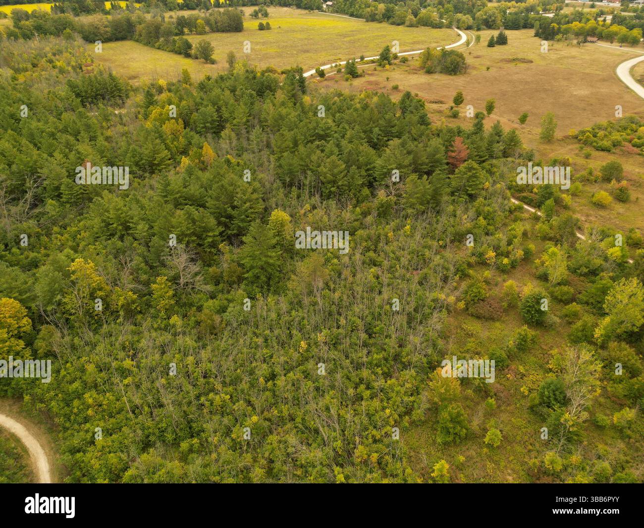 Aerial Views of Bronte Park: Trails, Forest & Scenic Surroundings Stock ...