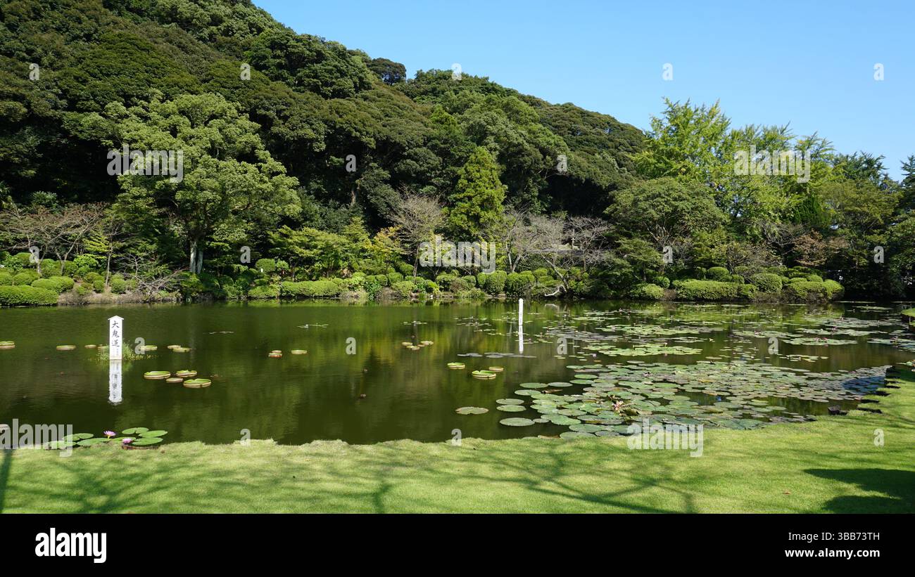 Beppu Jigokudani (Hell Valley) – Volcanic Hot Springs and Geothermal ...