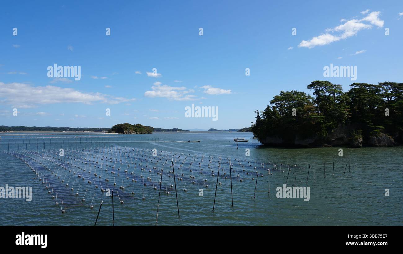 Matsushima Bay, Sendai – Stunning Pine-Covered Islands in Miyagi, Japan ...
