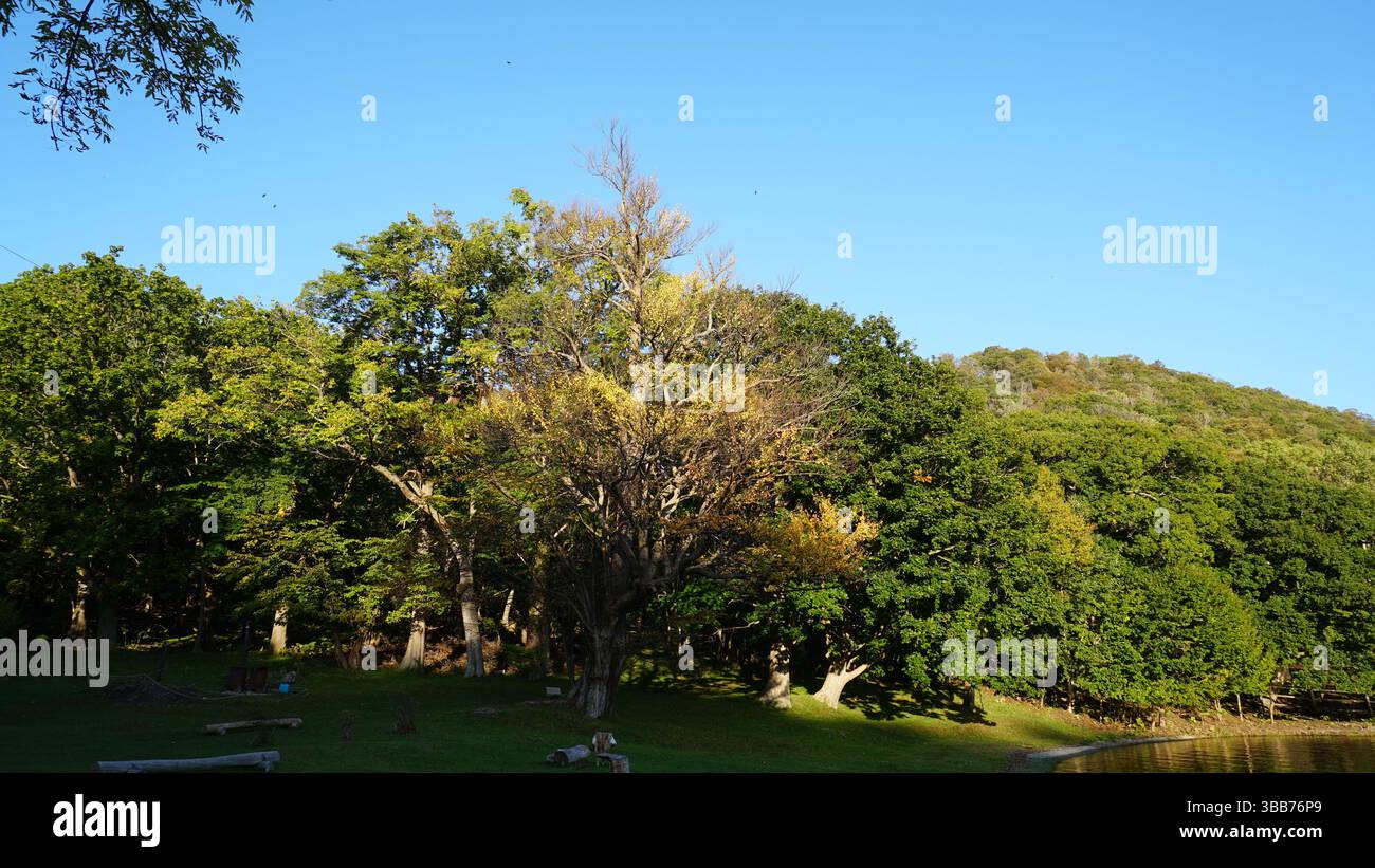 Lake Toya – Scenic Caldera Lake in Hokkaido, Japan Stock Photo - Alamy