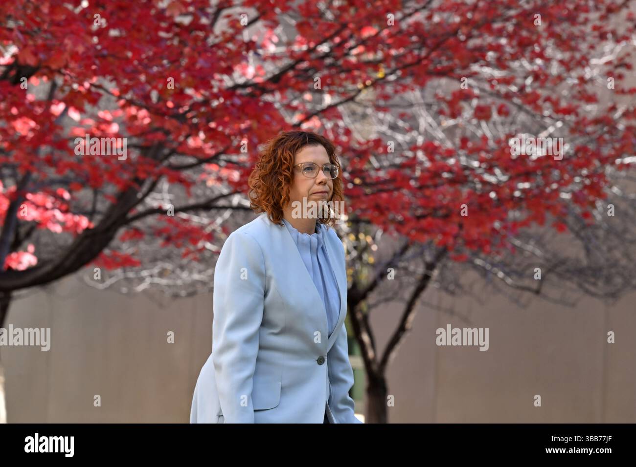 Canberra, Australia. 15th May, 2025. Minister for Employment Amanda ...