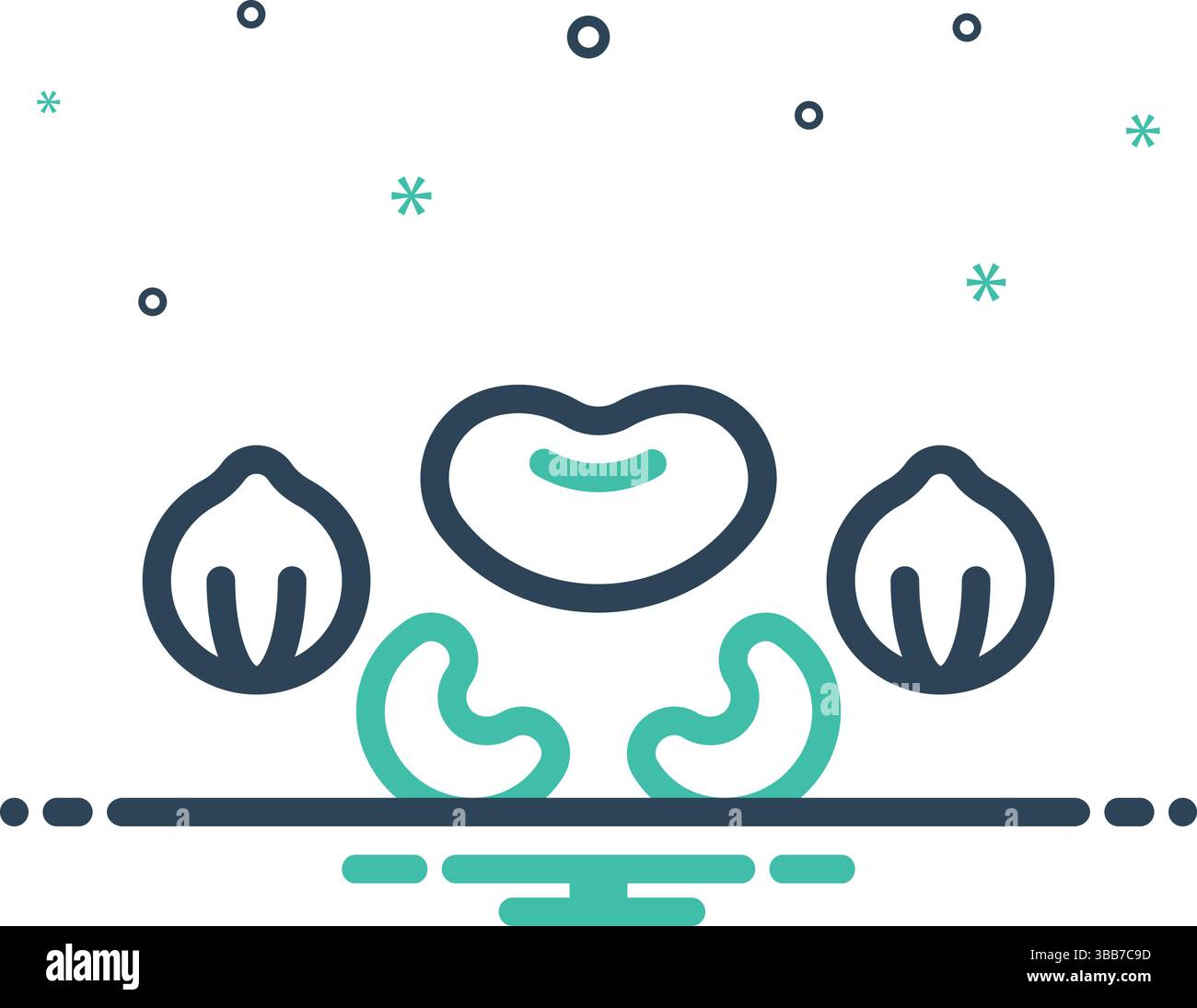 Ingredient legumes Stock Vector Images - Alamy