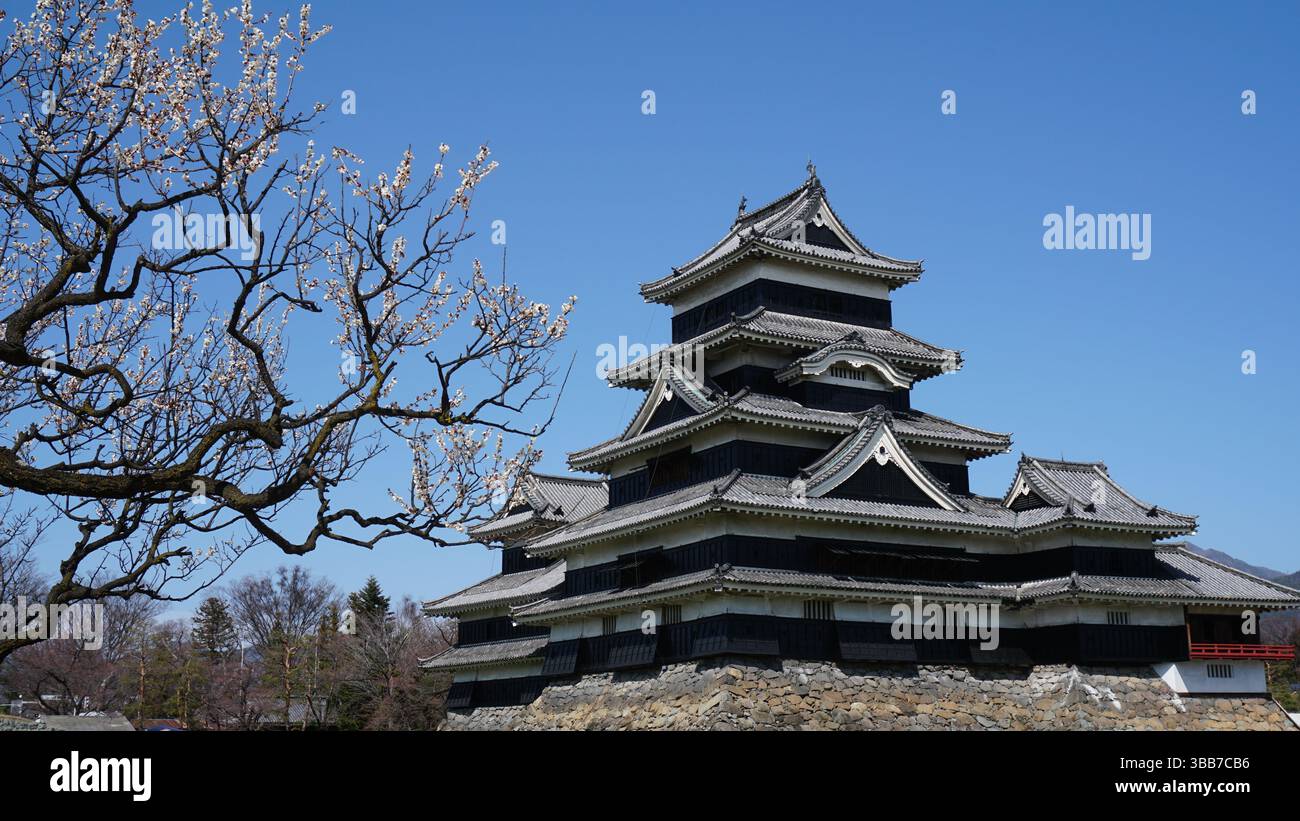 Matsumoto Castle, Nagano, Japan – Historic Black Crow Castle in Spring ...