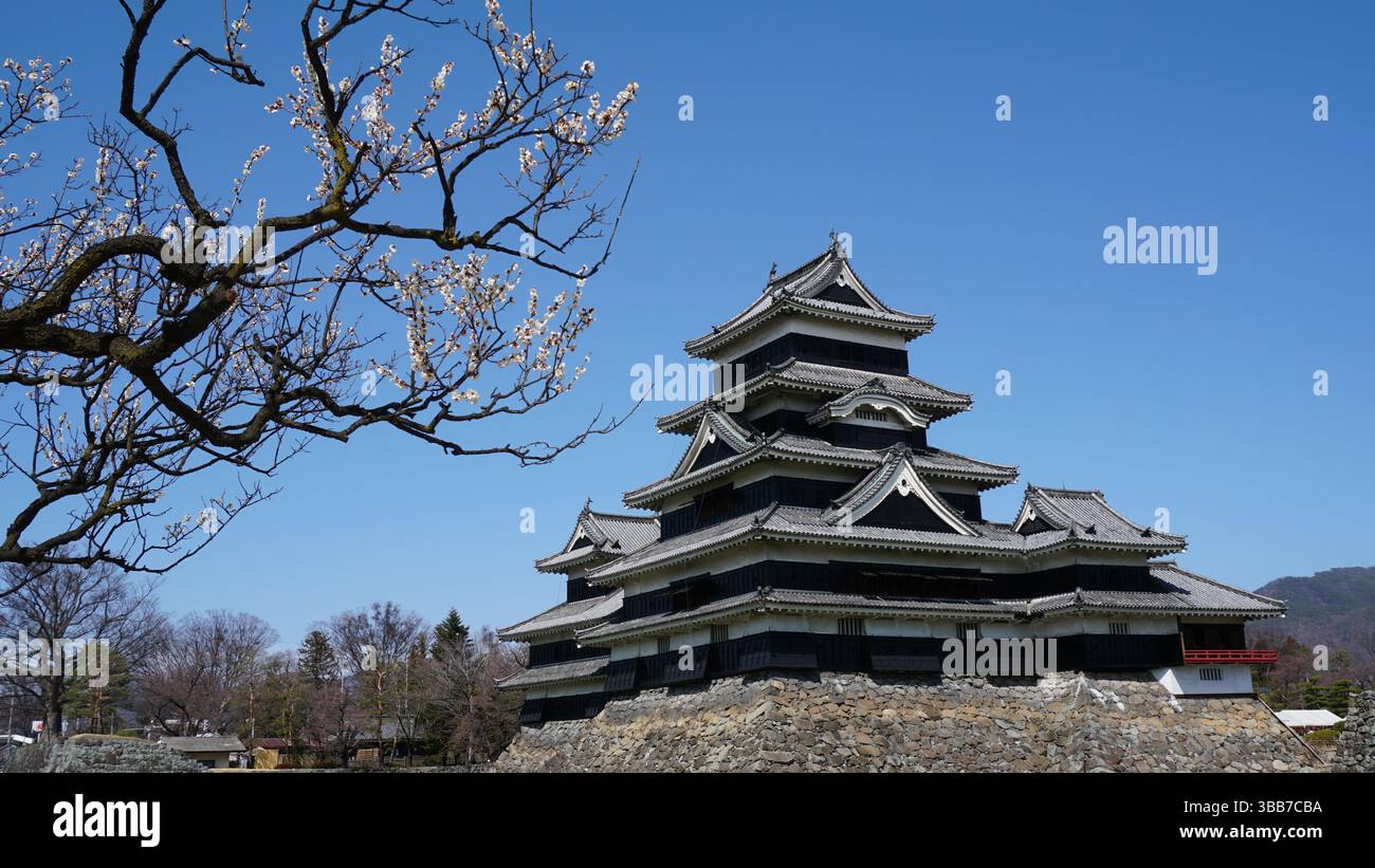 Matsumoto Castle, Nagano, Japan – Historic Black Crow Castle in Spring ...