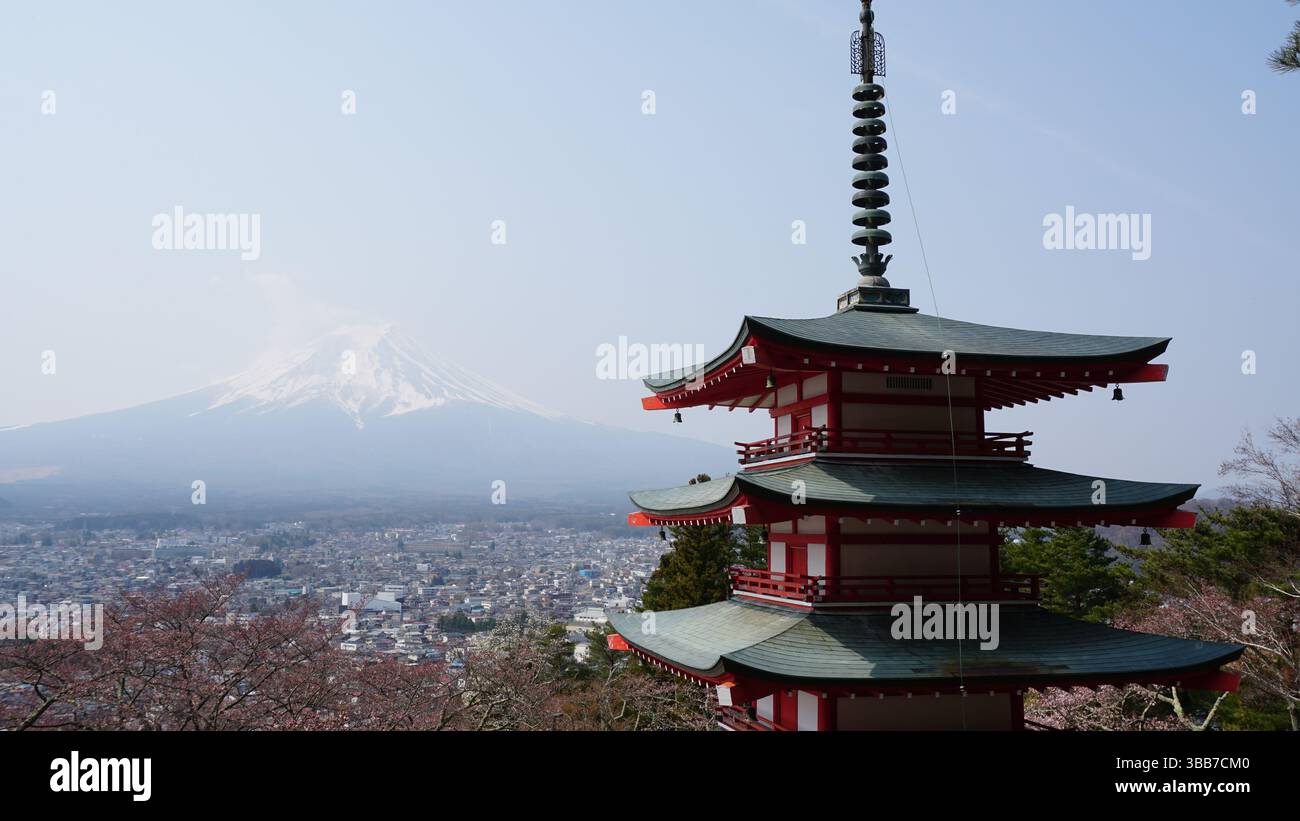 Cherry Blossoms Around Mount Fuji, Japan – Iconic Spring Scenery Stock ...