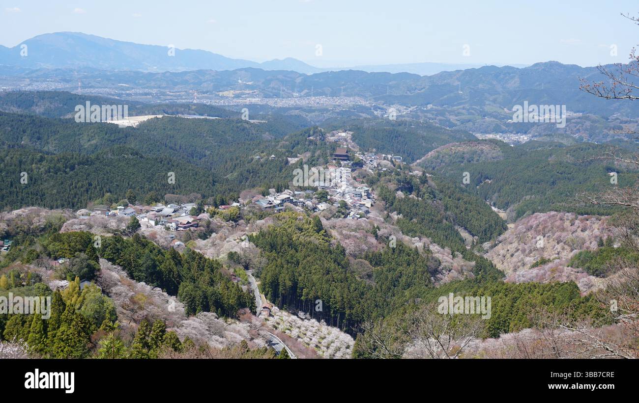Cherry Blossoms at Mount Yoshino, Nara, Japan – Iconic Sakura Spot ...