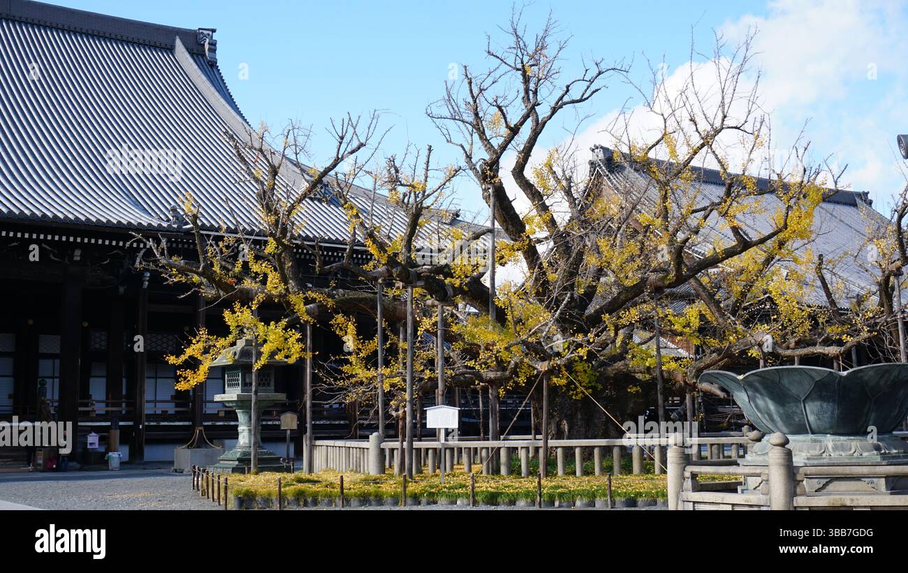 Kyoto’s Historic Temples and Traditional Street Views Stock Photo - Alamy