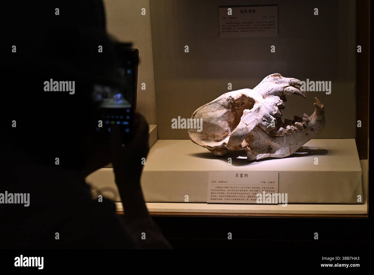 **CHINESE MAINLAND, HONG KONG, MACAU AND TAIWAN OUT** The exhibition of ...