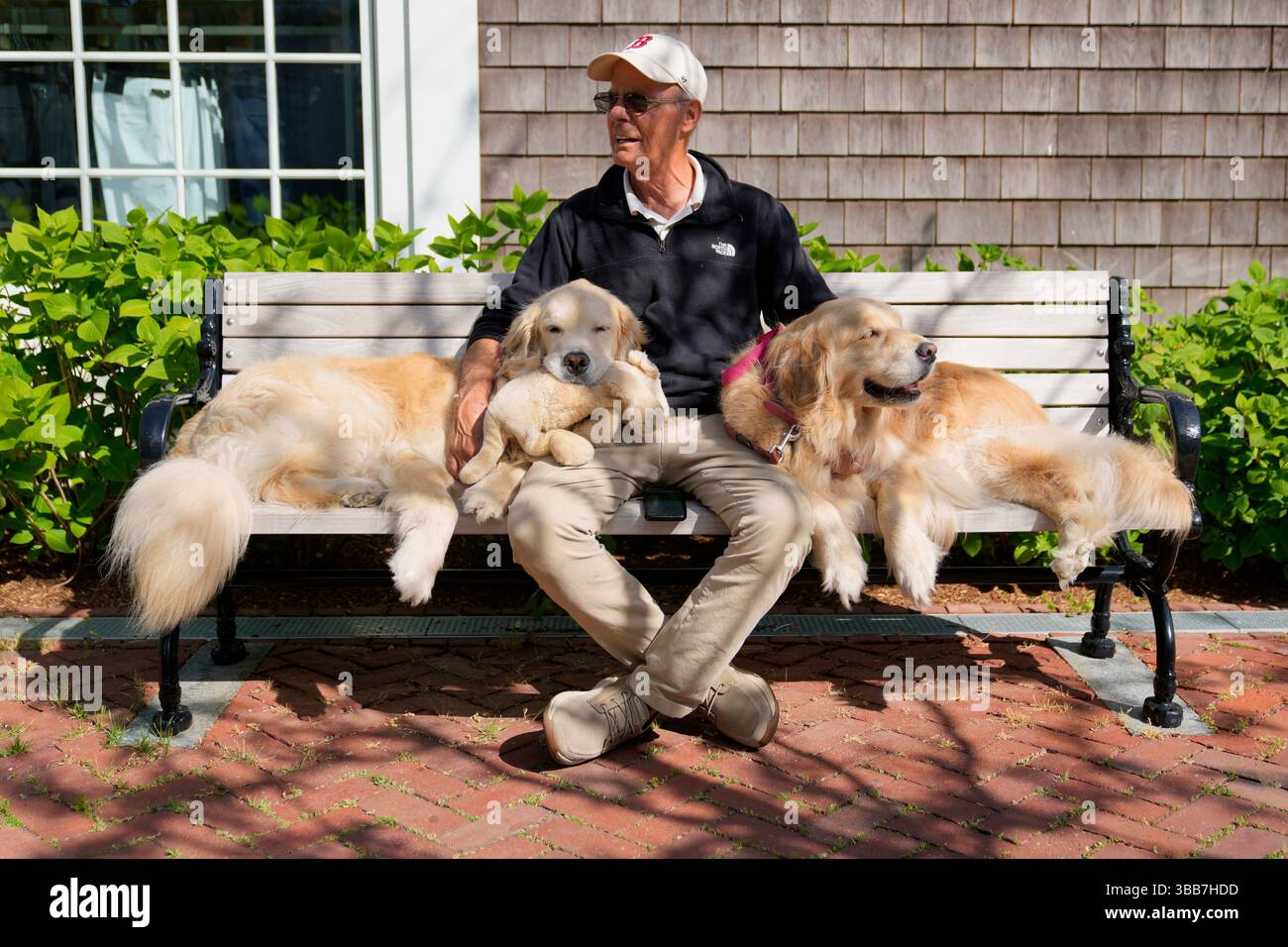 Mark Alton spends some downtime with his employer's dogs, Bentley and ...