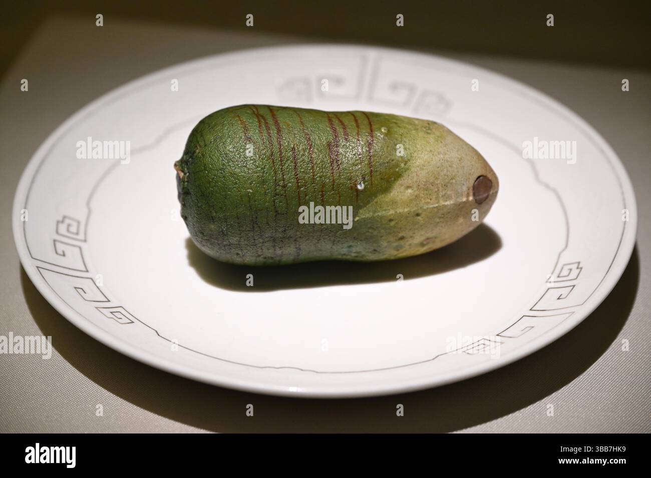 **CHINESE MAINLAND, HONG KONG, MACAU AND TAIWAN OUT** The exhibition of ...