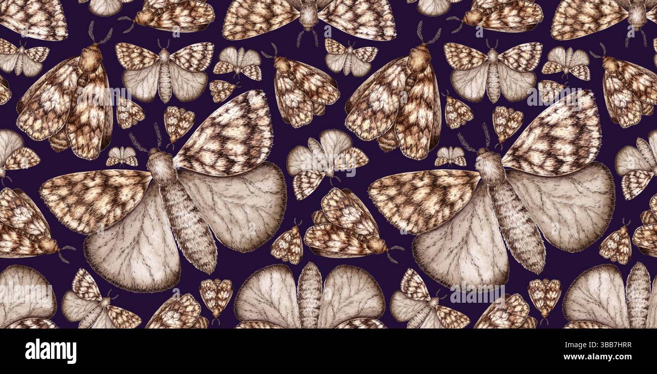 Gray-brown moth, with wings folded and spread, watercolor illustration ...