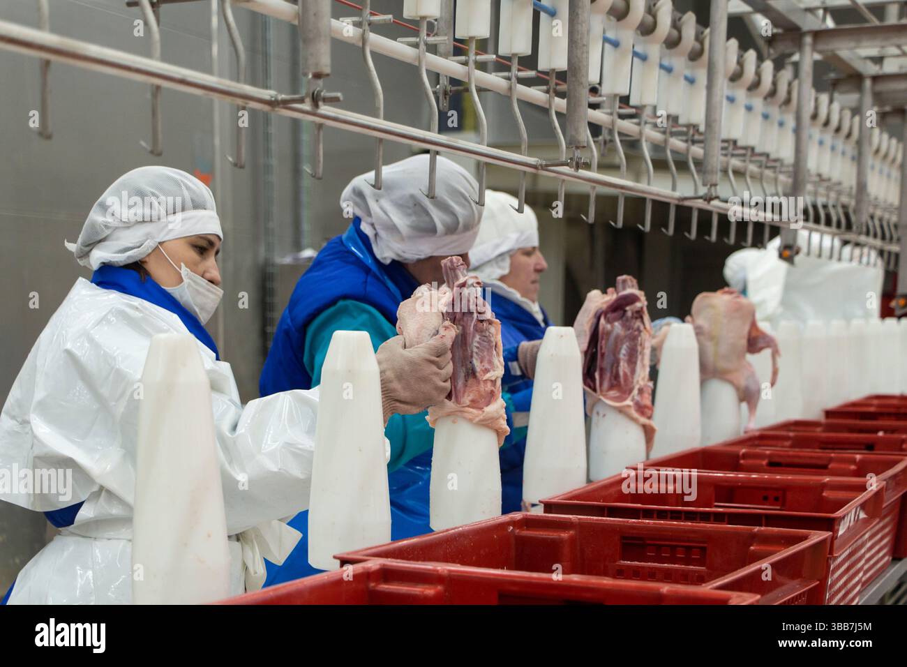 a personnel of the conveyor, workers and technological process of ...