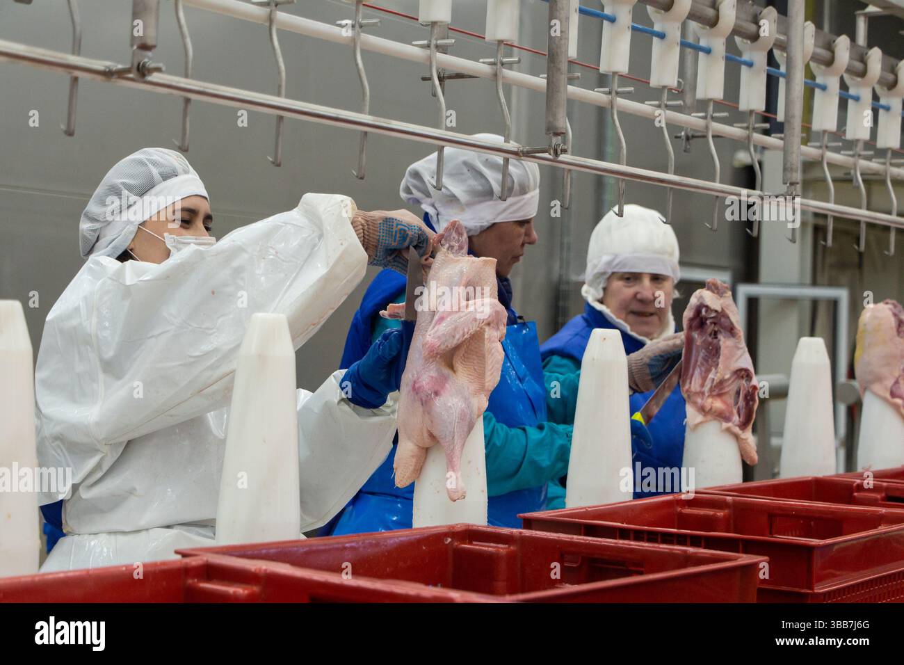 a personnel of the conveyor, workers and technological process of ...