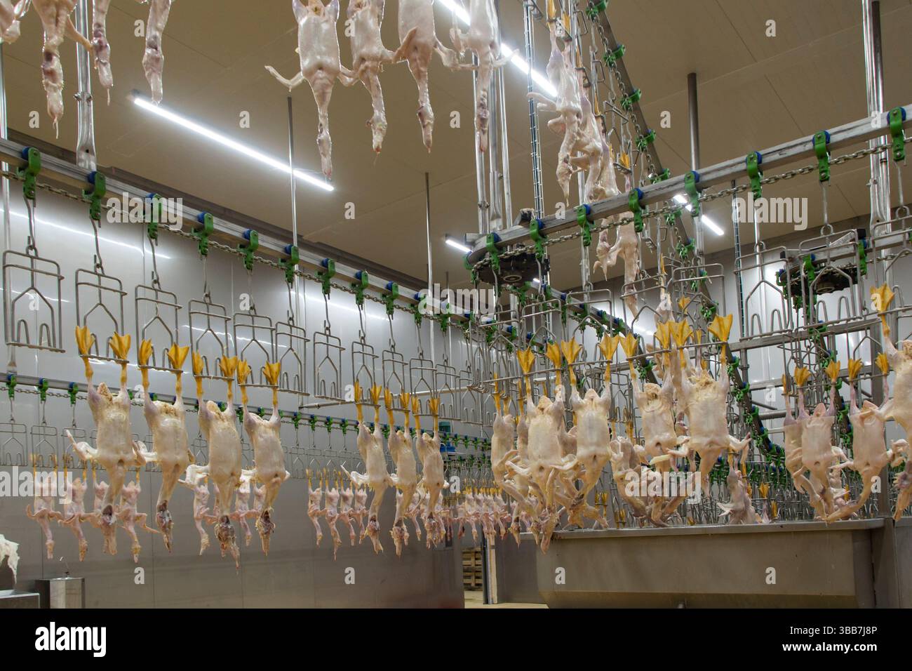 a personnel of the conveyor, workers and technological process of ...