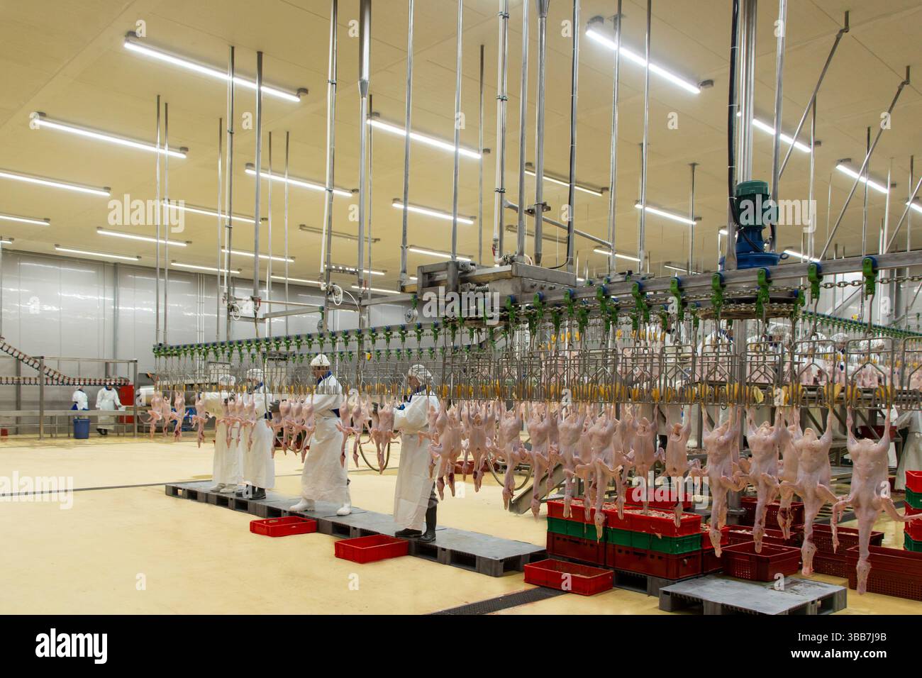 a personnel of the conveyor, workers and technological process of ...