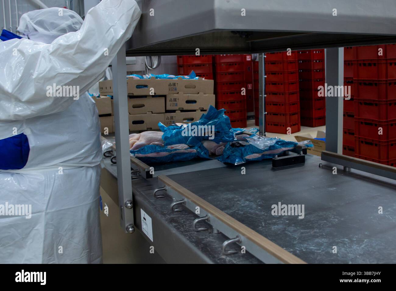 a production and packaging of offal, semi-finished poultry products ...