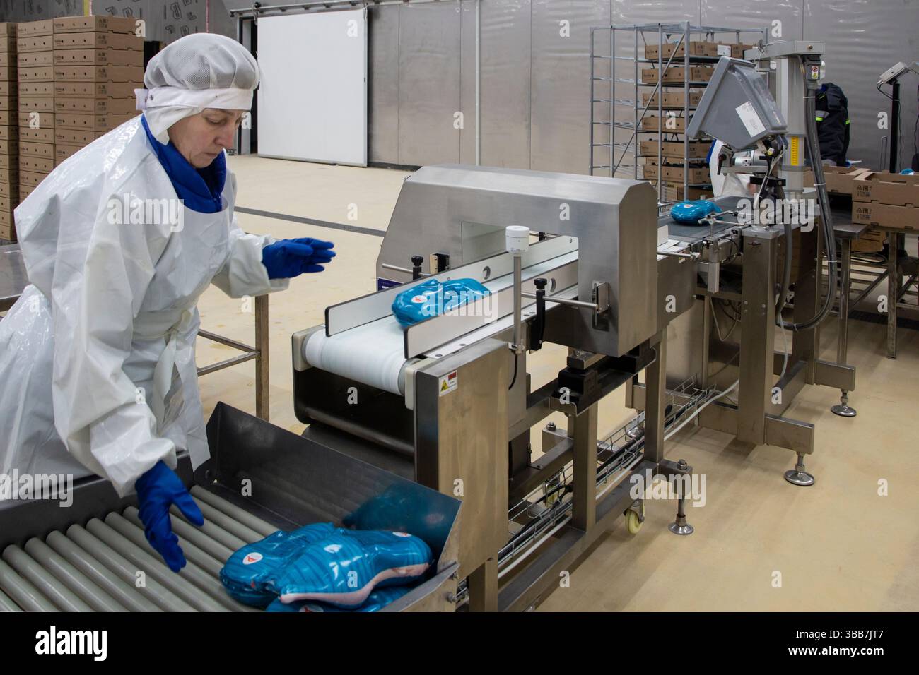 a production and packaging of offal, semi-finished poultry products ...