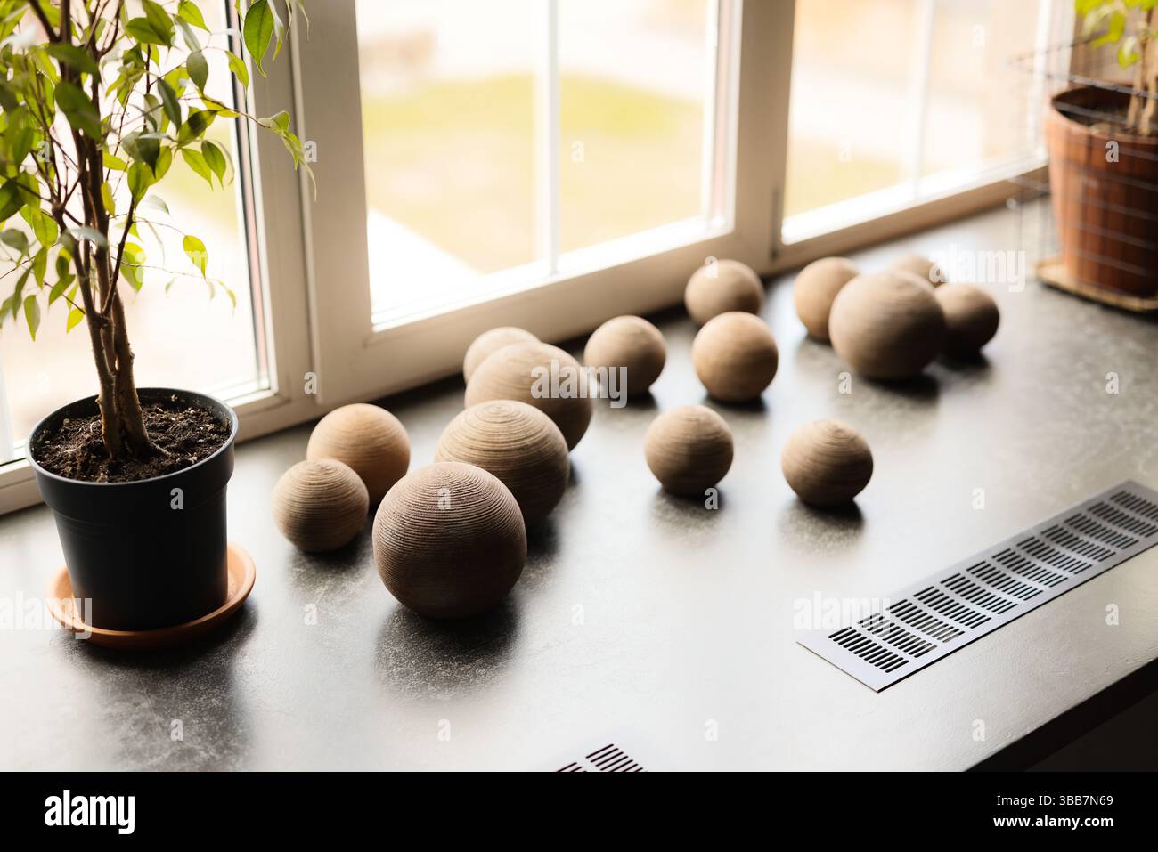 Beautiful Natural Decorative Objects on a Windowsill with Indoor Plants ...