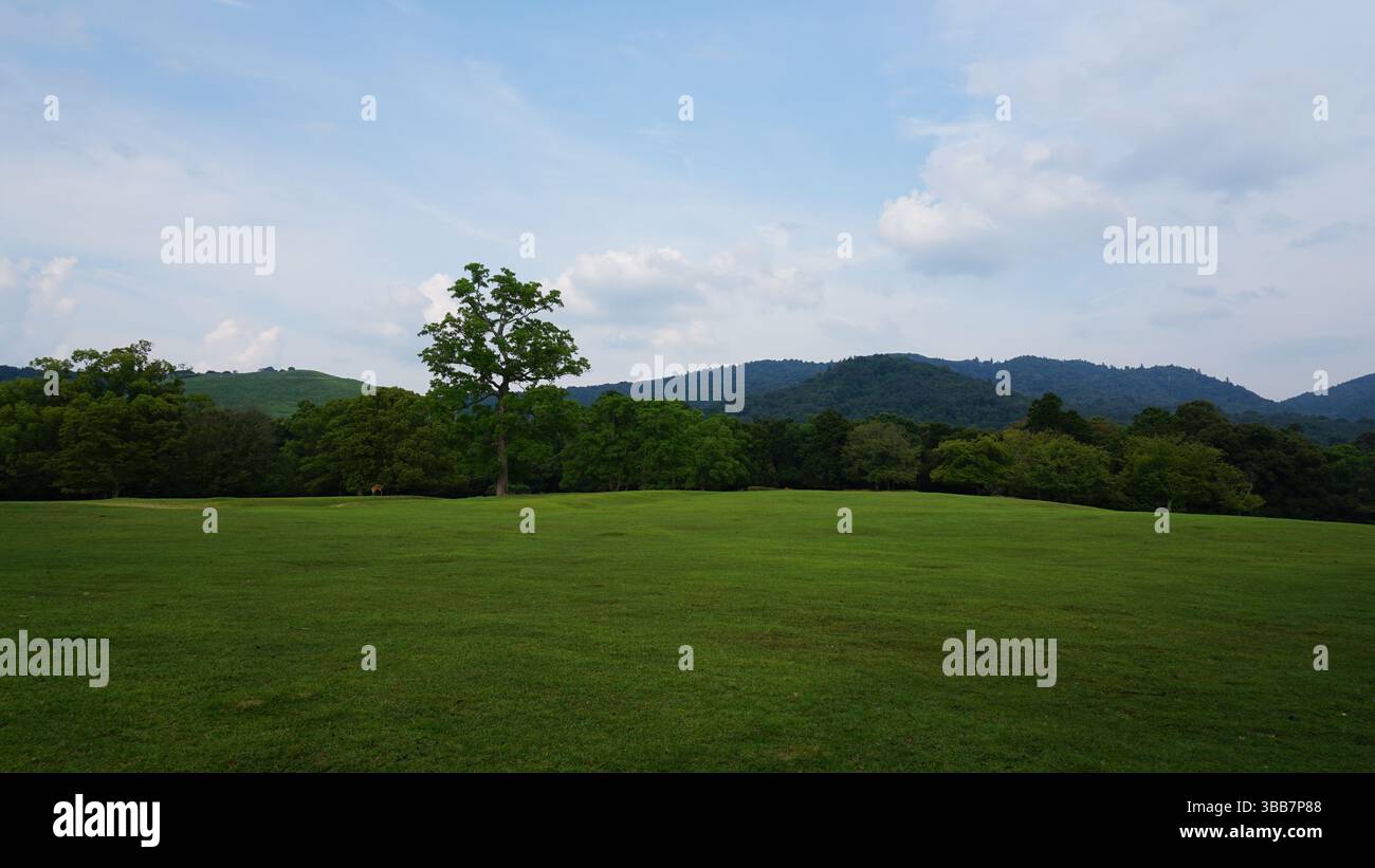 Nara Park – Home of Free-Roaming Deer and Historic Temples in Nara ...