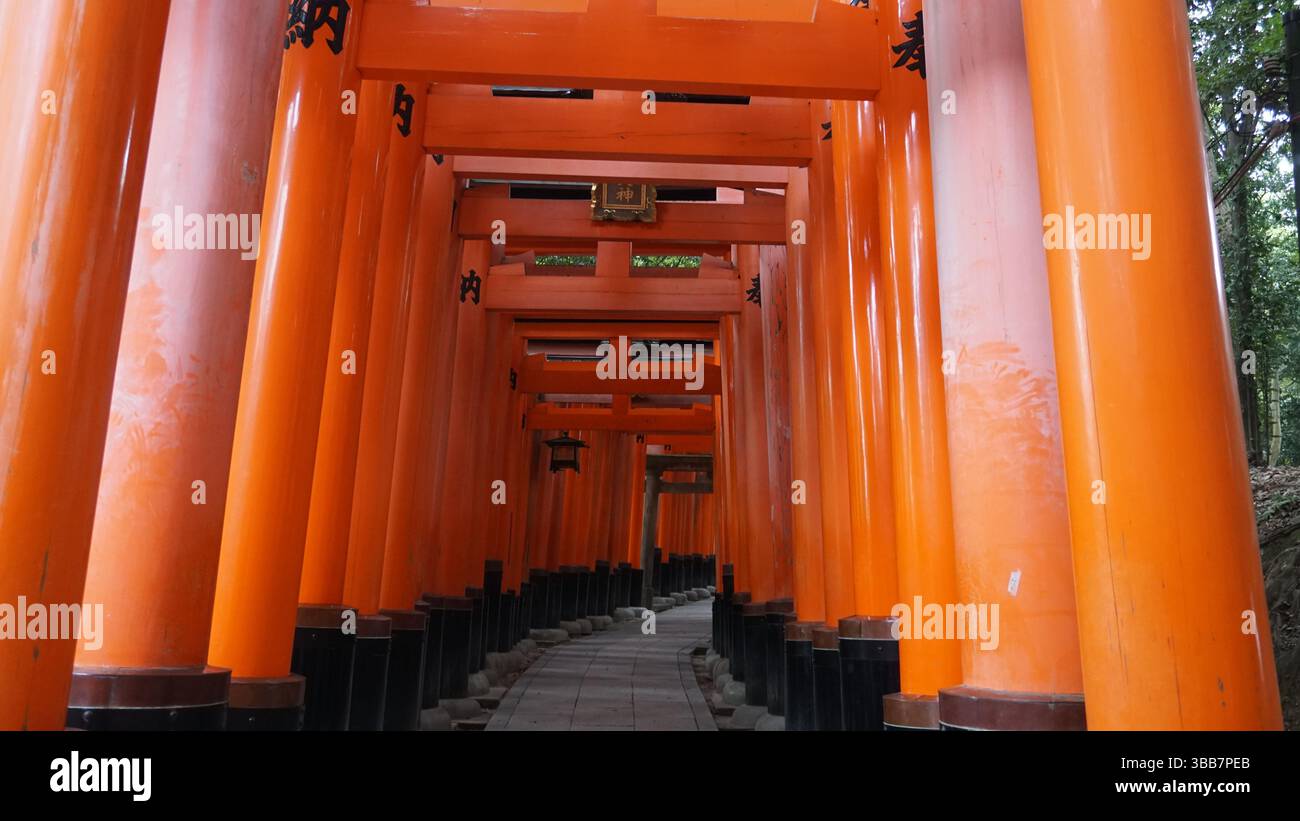 Fushimi Inari Taisha, Kyoto – Iconic Shrine of Thousands of Red Torii ...