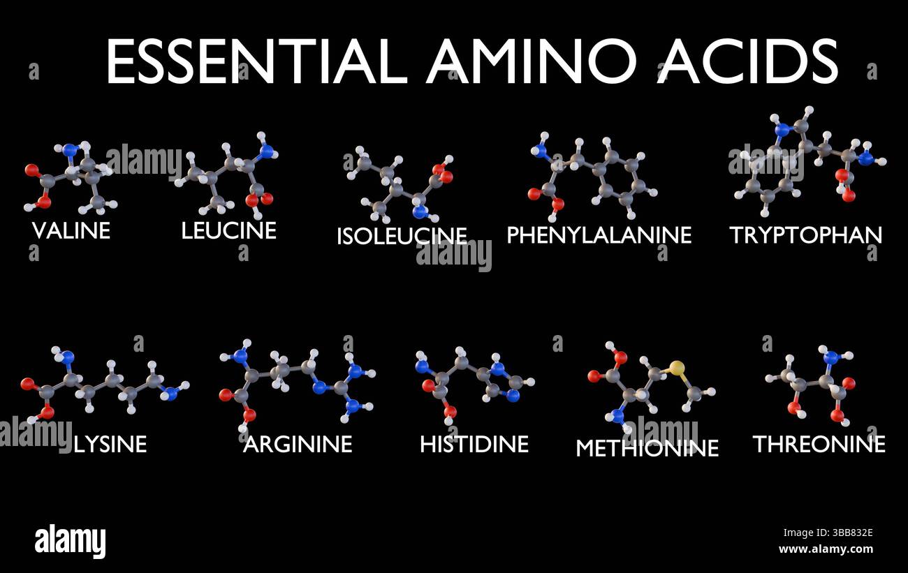 A 3d rendering of displays the molecular structures of the ten ...