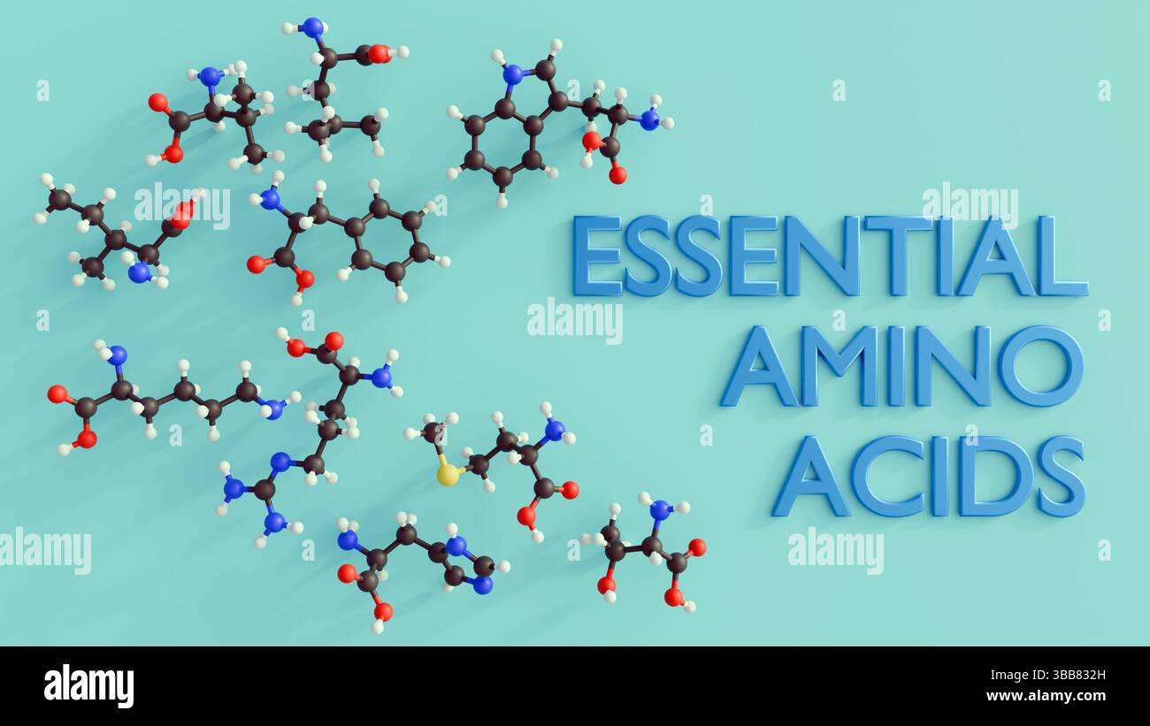A 3d rendering of displays the molecular structures of the ten ...