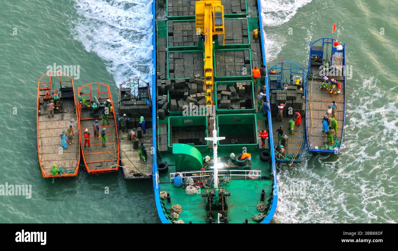 Aerial photo shows fishmen working at a marine ranch in Rongcheng City ...