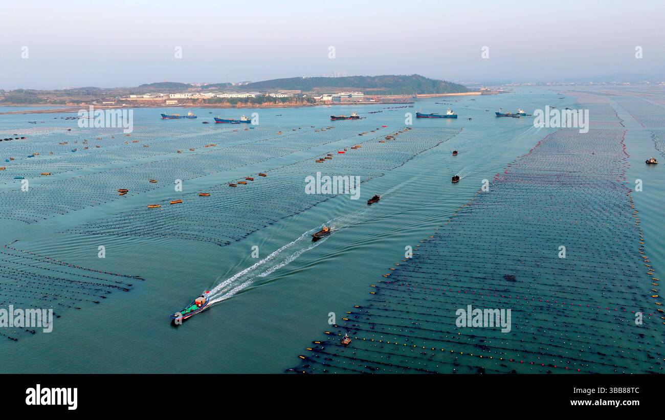 Aerial photo shows fishmen working at a marine ranch in Rongcheng City ...
