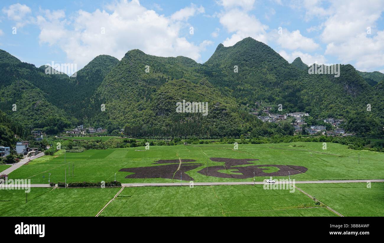 Wanfenglin Scenic Area: A Sea of Karst Peaks in Xingyi, Guizhou Stock ...