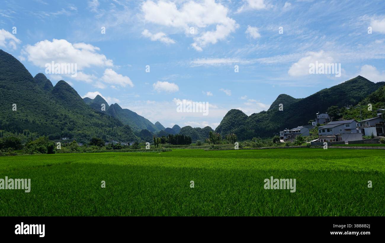 Wanfenglin Scenic Area: A Sea of Karst Peaks in Xingyi, Guizhou Stock ...