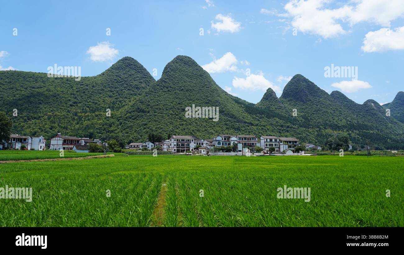 Wanfenglin Scenic Area: A Sea of Karst Peaks in Xingyi, Guizhou Stock ...