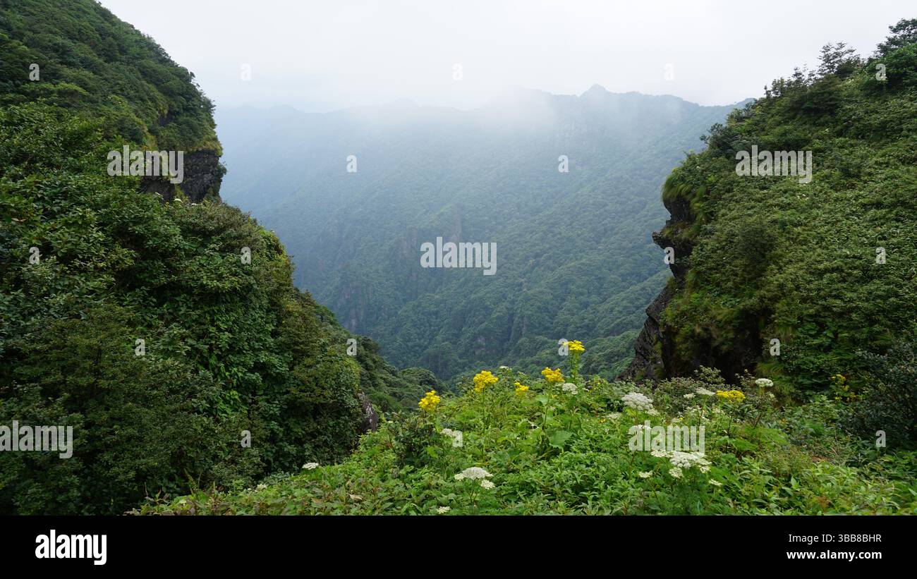 Fanjing Mountain: Sacred Peaks and Cloudy Temples in Guizhou, China ...
