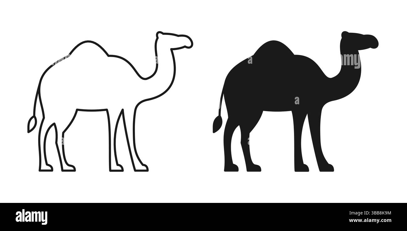 Camel line icon with editable stroke and silhouette Stock Vector Image ...
