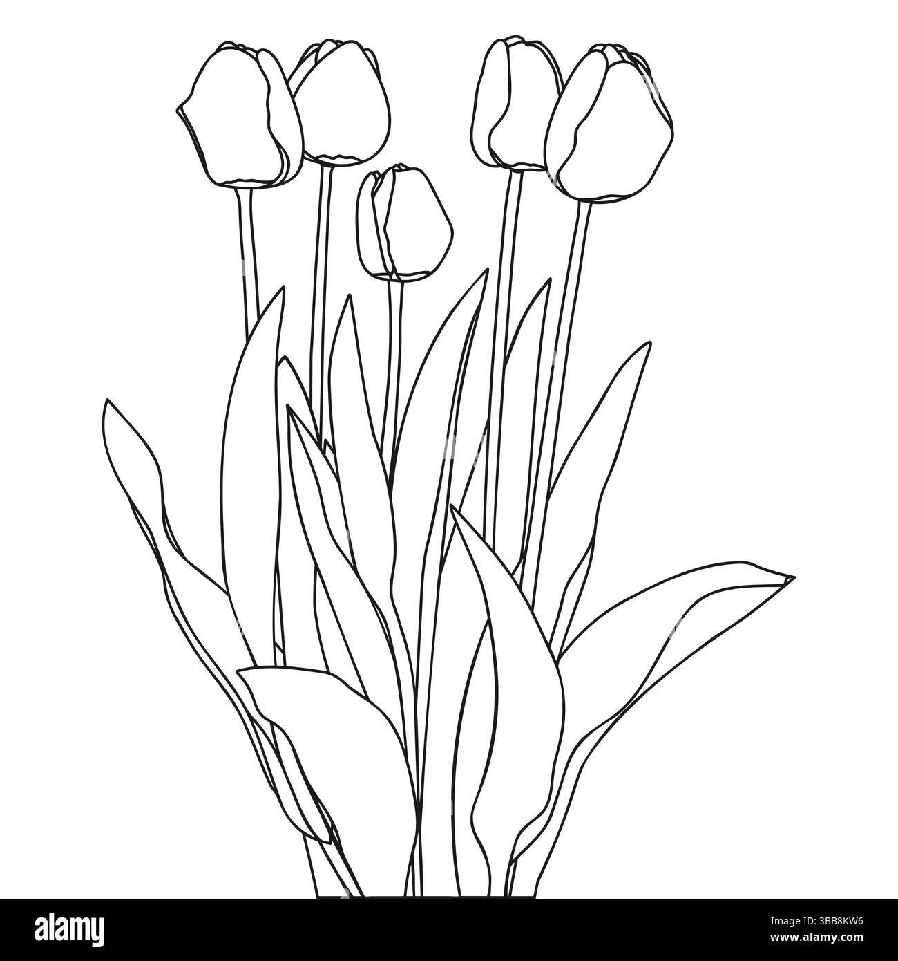 Spring leaf outline line Stock Vector Images - Alamy