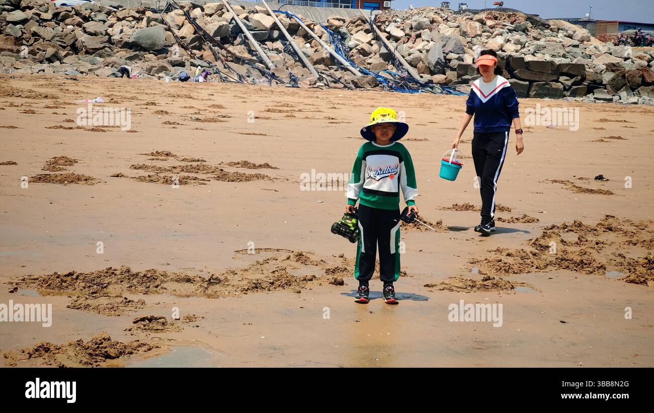 People pick up shells at the seaside in Rizhao City, east China's ...