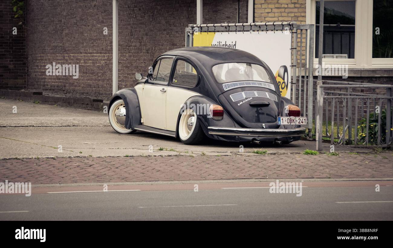 Two-tone Volkswagen Beetle in front of old brick building. Rear view of ...