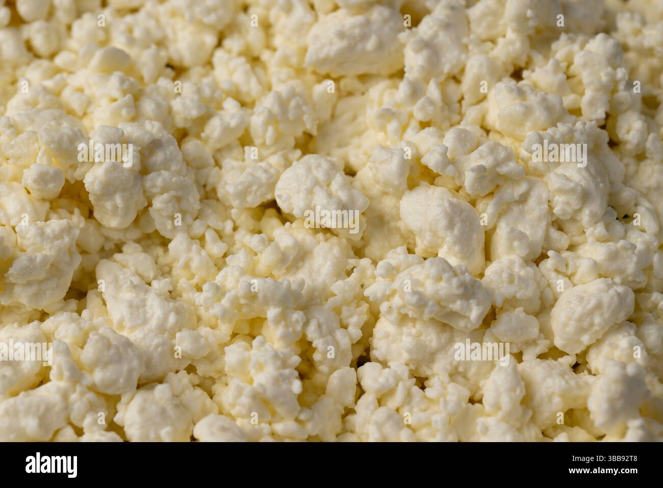 cottage cheese made from milk in the form of lumps of white color ...