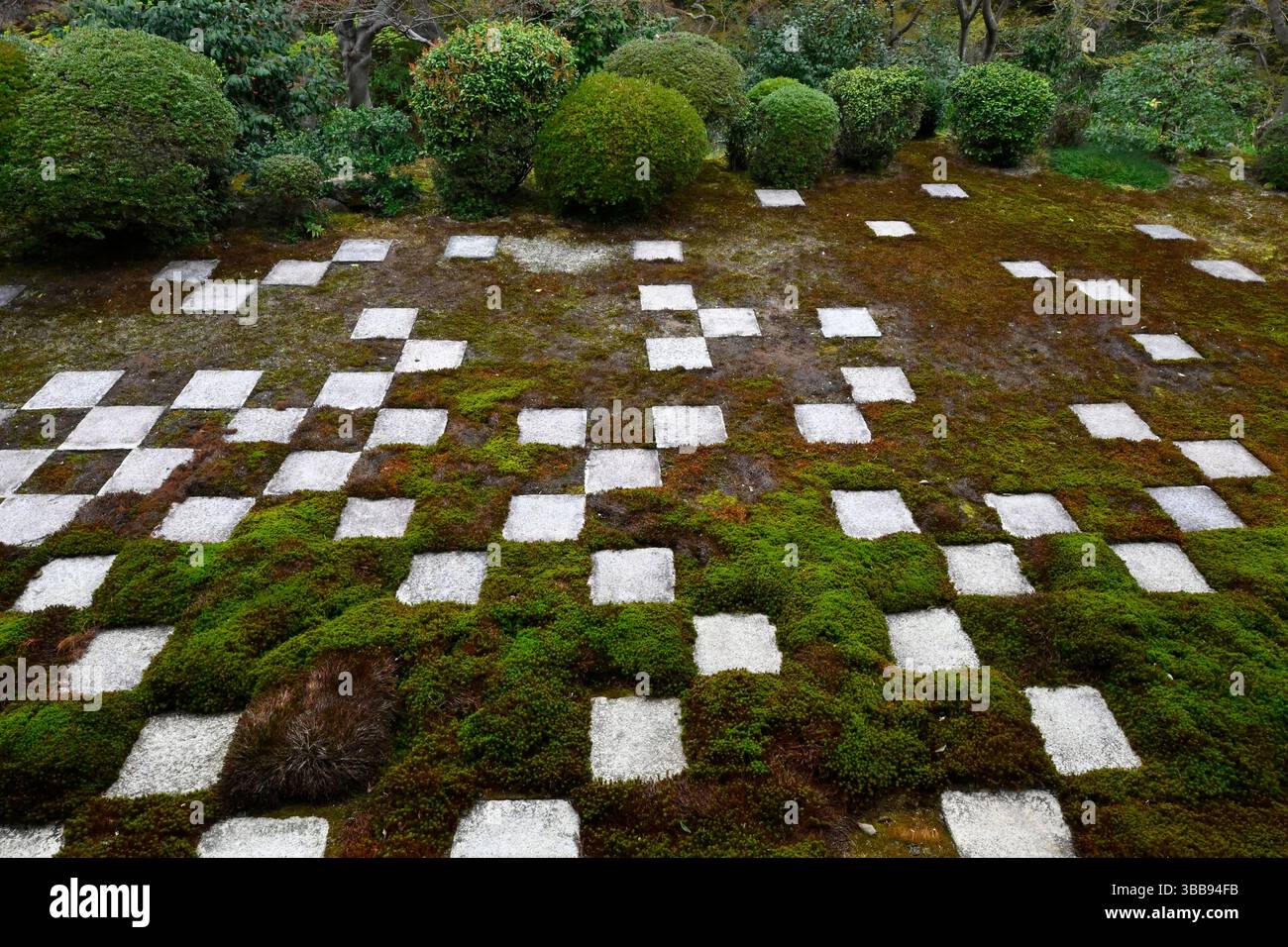 A chequerboard of moss and stone in the north garden of the hojo in ...