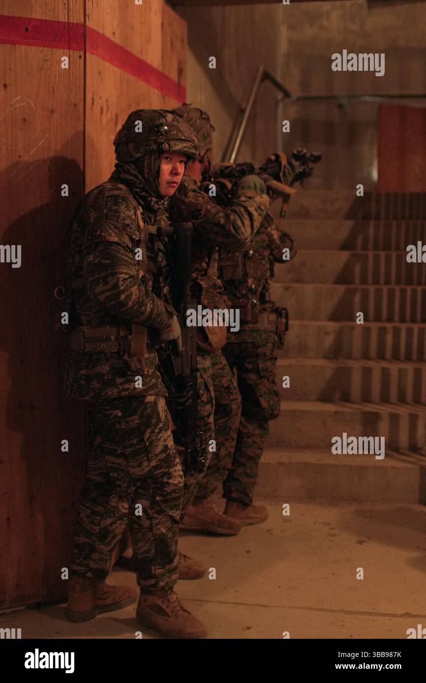 U.S. Marines with Company A, 9th Engineer Support Battalion, 3rd Marine ...