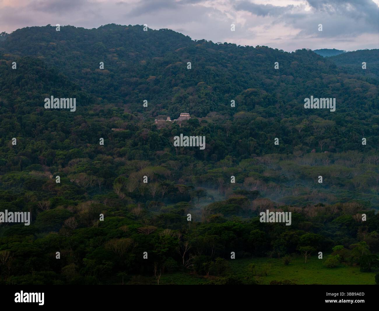 Morning aerial view of the Mayan ruins of Palenque in the distance ...