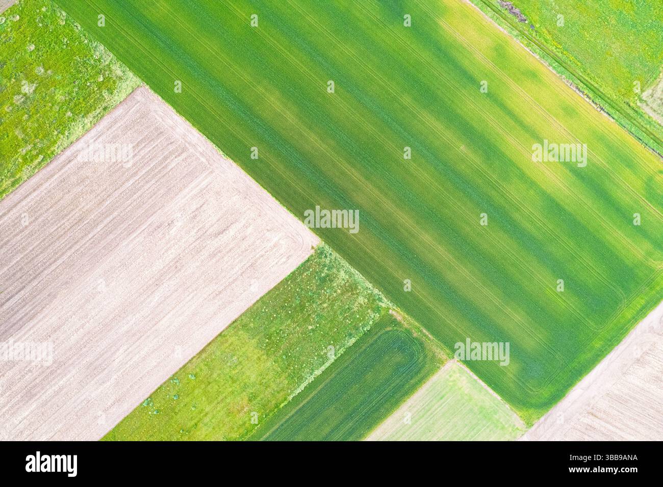 abstract perspective showing the rich textures and colors of farmed ...